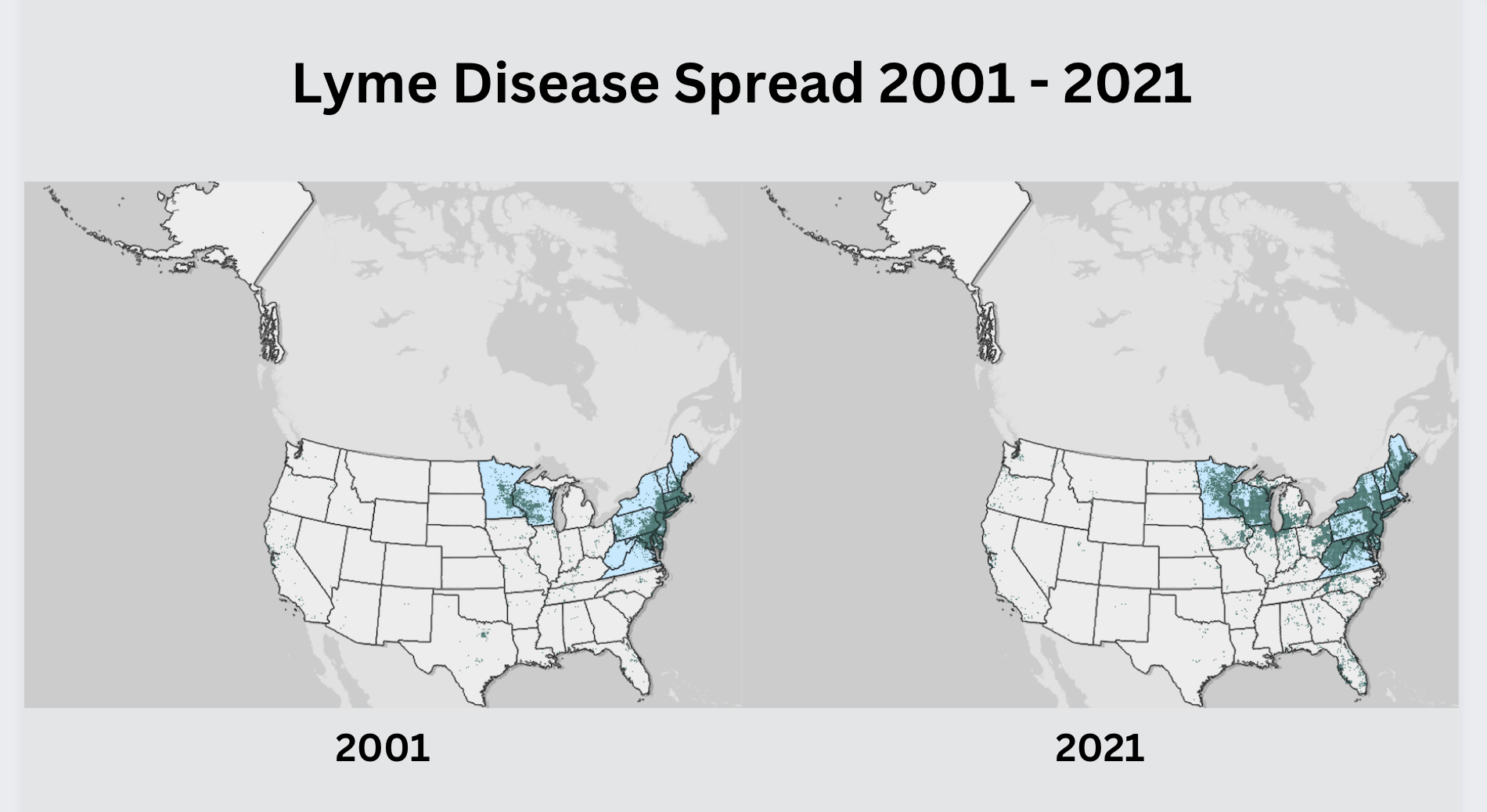 Preventing Lyme Disease: Precautions for a Safer Outdoors | Prescription Hope